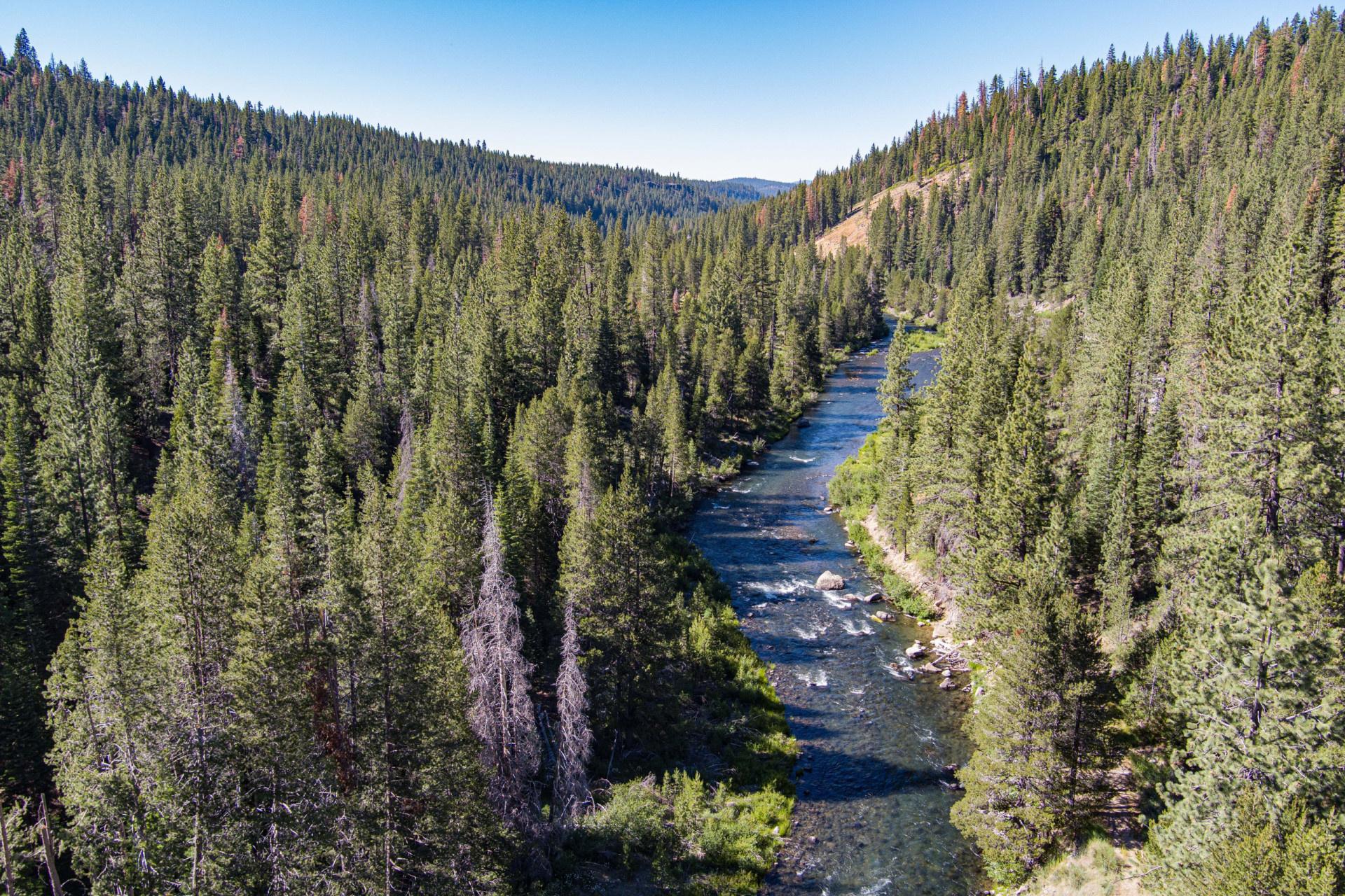 Diese 30 Sprachen sind vom Aussterben bedroht