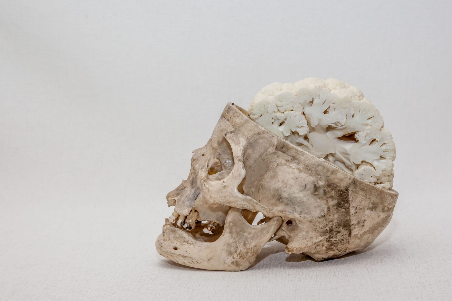 The discovery of a prehistoric human jaw bone could change human history