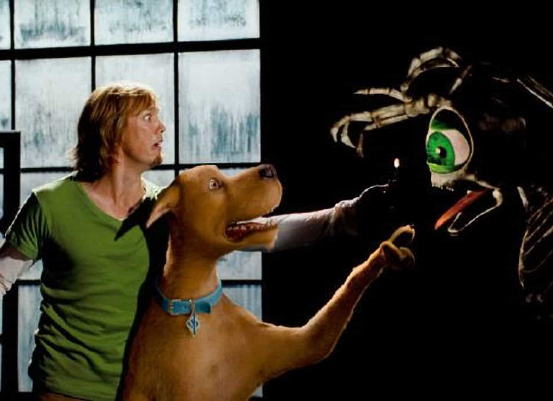 The most famous dogs in history