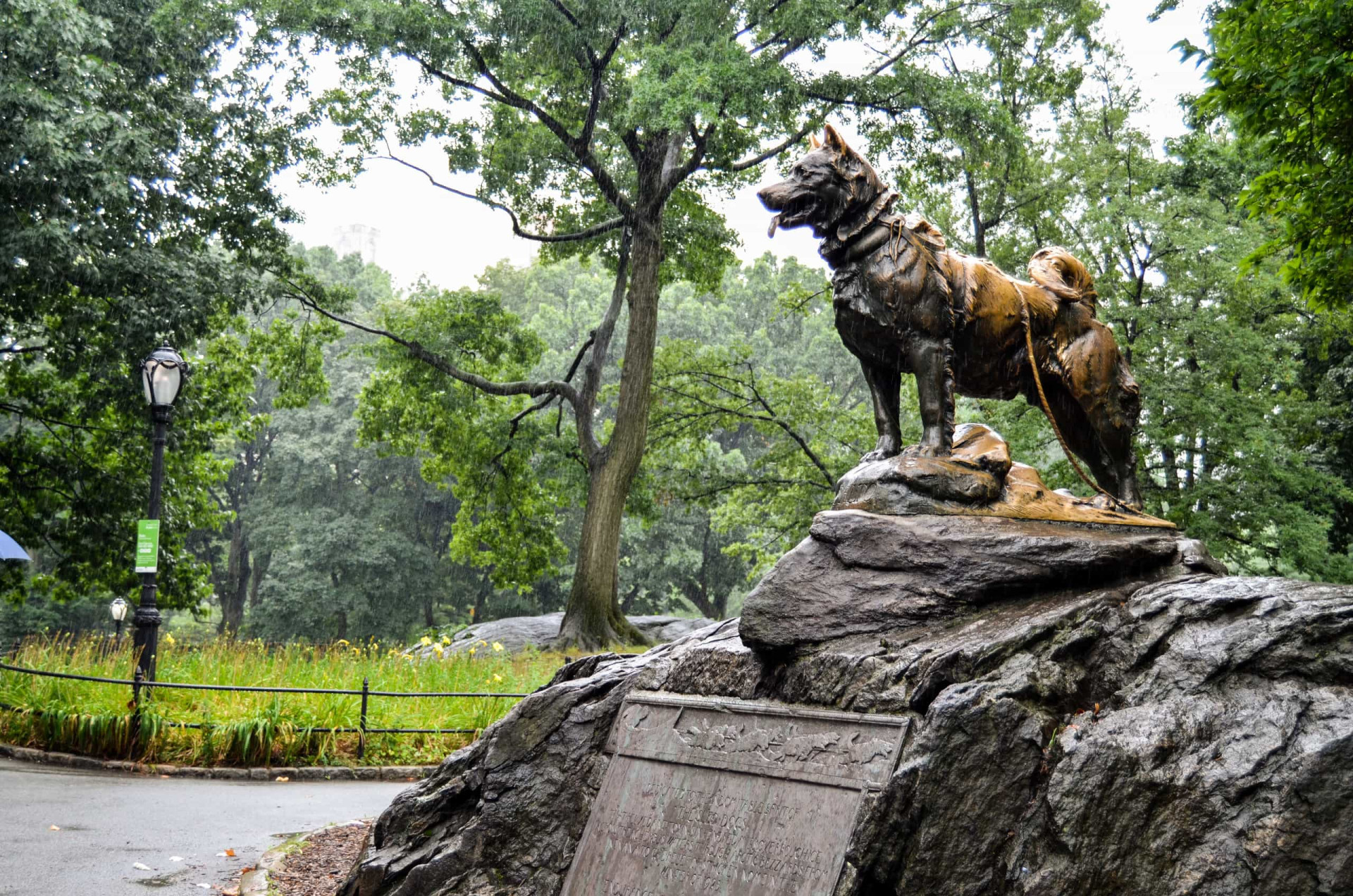 The most famous dogs in history
