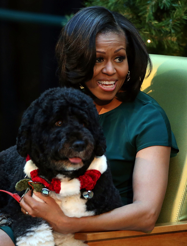 The most famous dogs in history