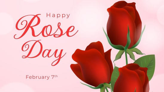 Valentine's Week Calendar 2025: Rose Day, Kiss Day to Hug Day, check ...
