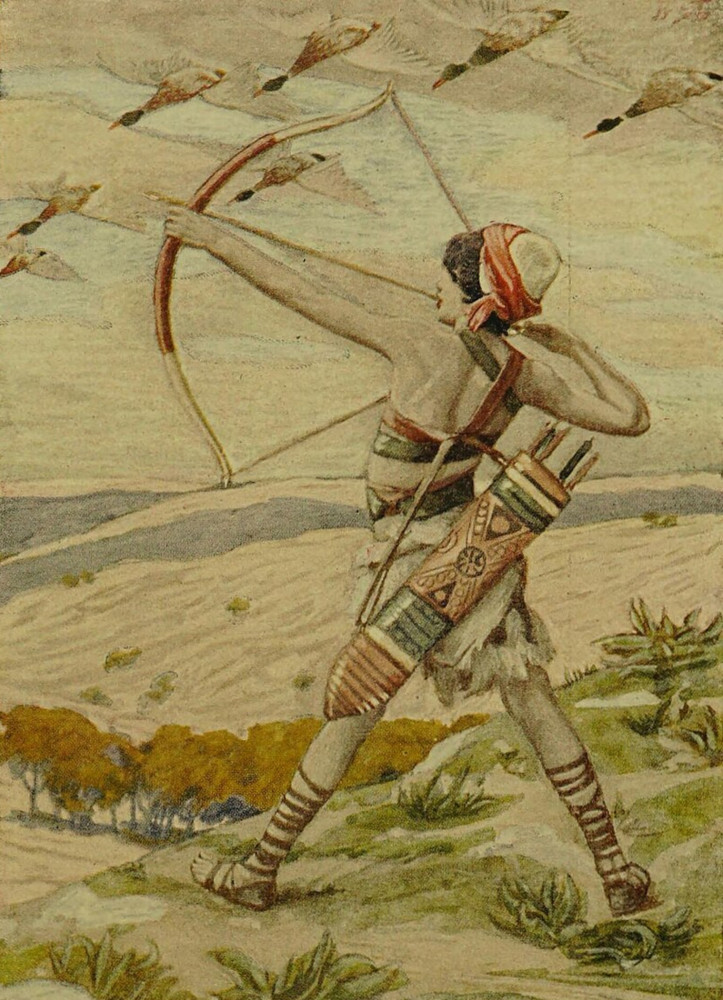 The origins of the most popular cat breeds