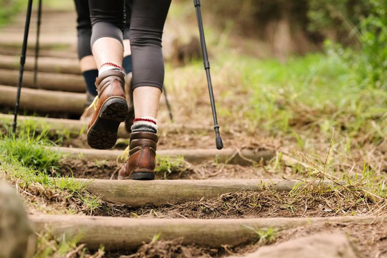 'Nordic' walking exercise technique helps you lose weight quicker