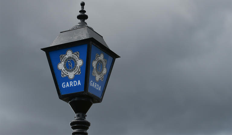 Mary Lou McDonald’s ‘deep anger’ that SF senator signed far-right ...