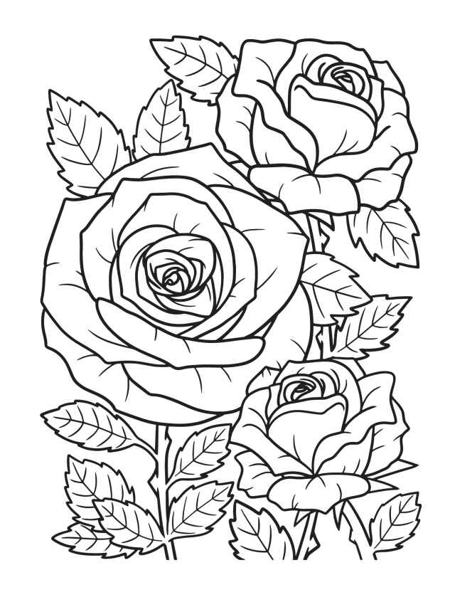 27 Free Printable Flower Coloring Pages