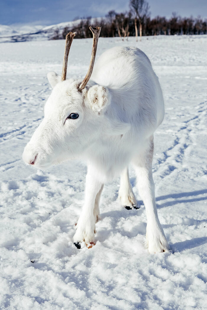 30 Captivating Photos Of Norway That Perfectly Illustrate Why This ...