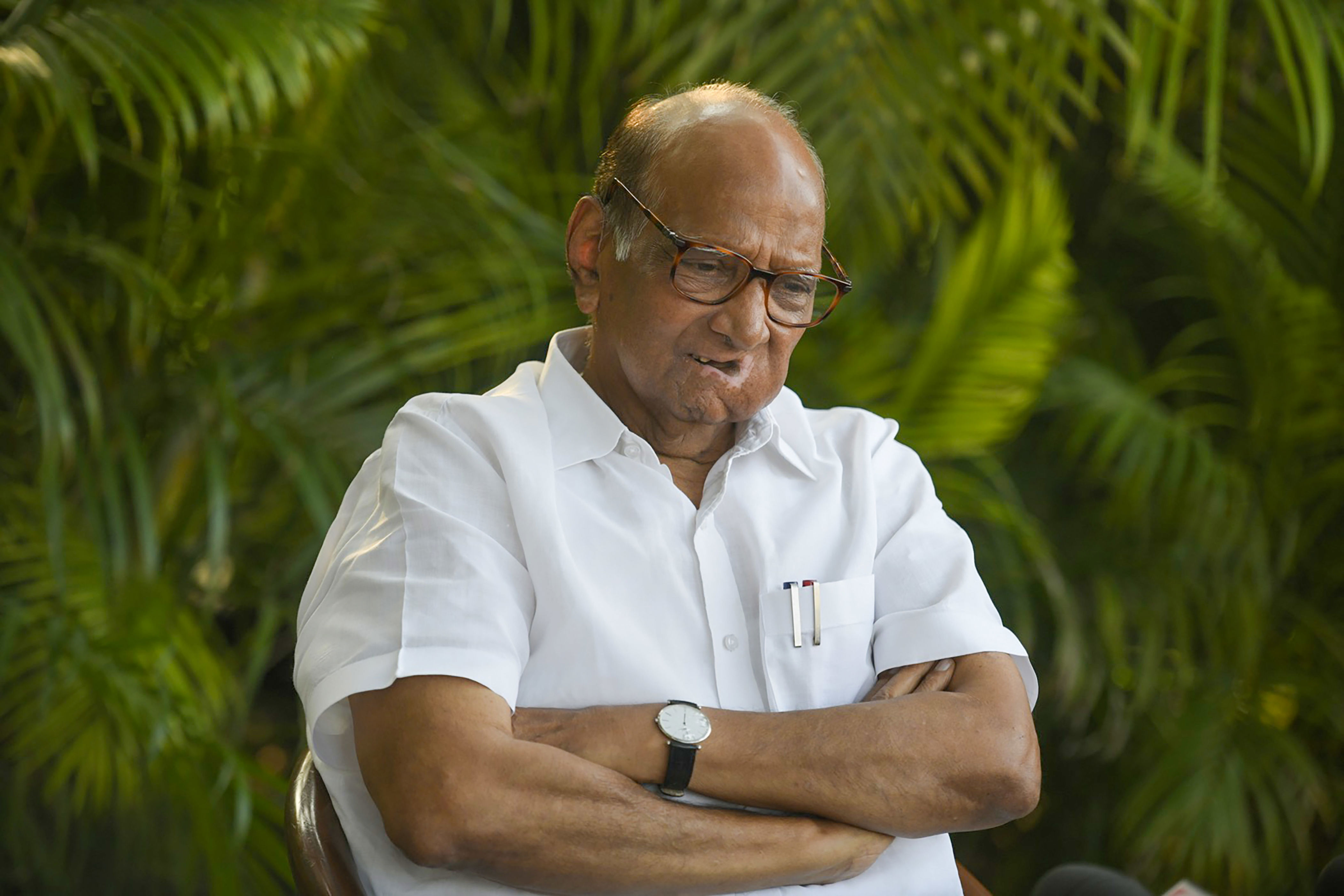 BJP MLA's remarks on NCP (SP) leader triggers row, Pawar registers ...