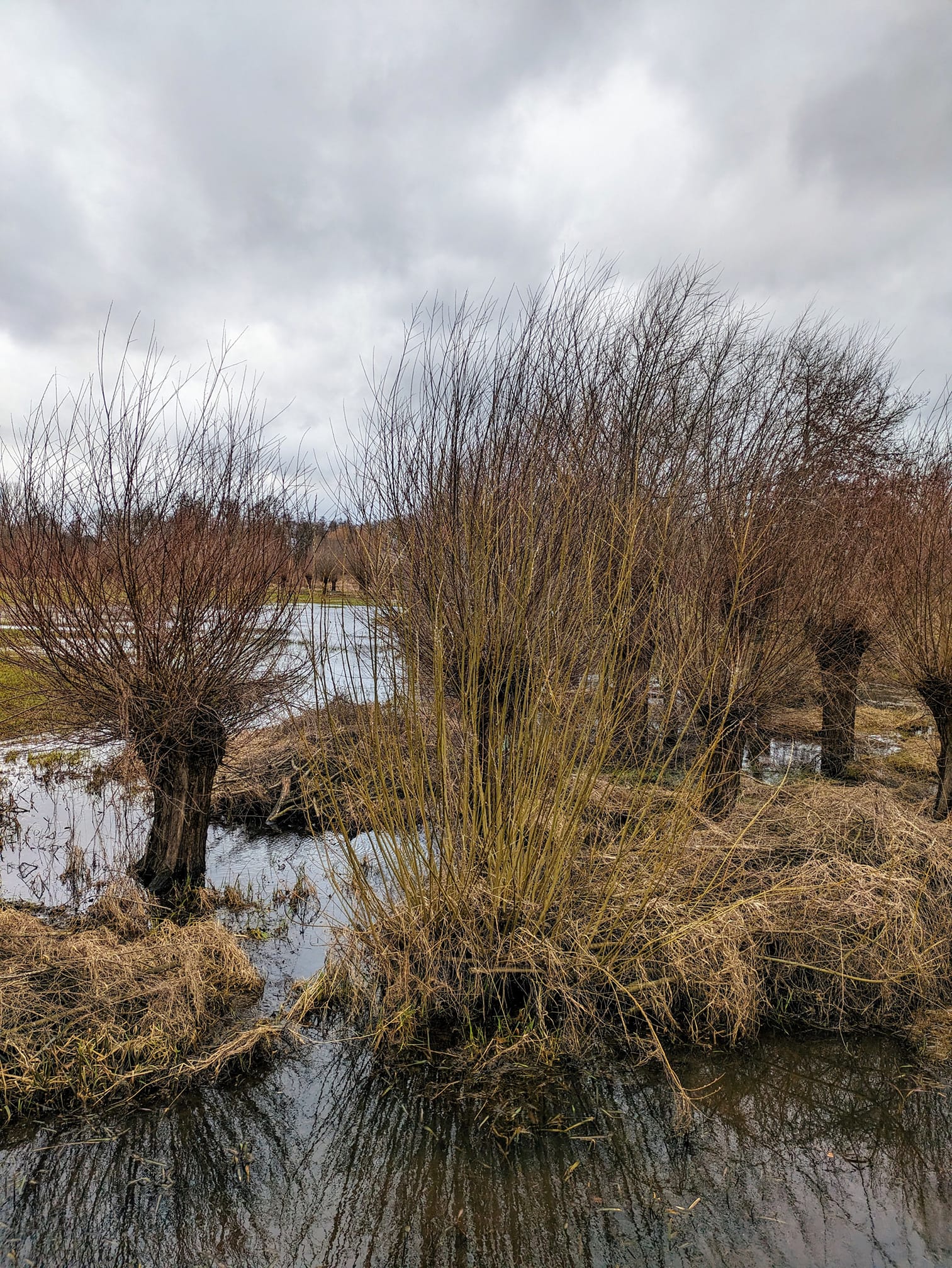 Weerman Samuel: "Donderdag kletsnat met kans op wateroverlast"