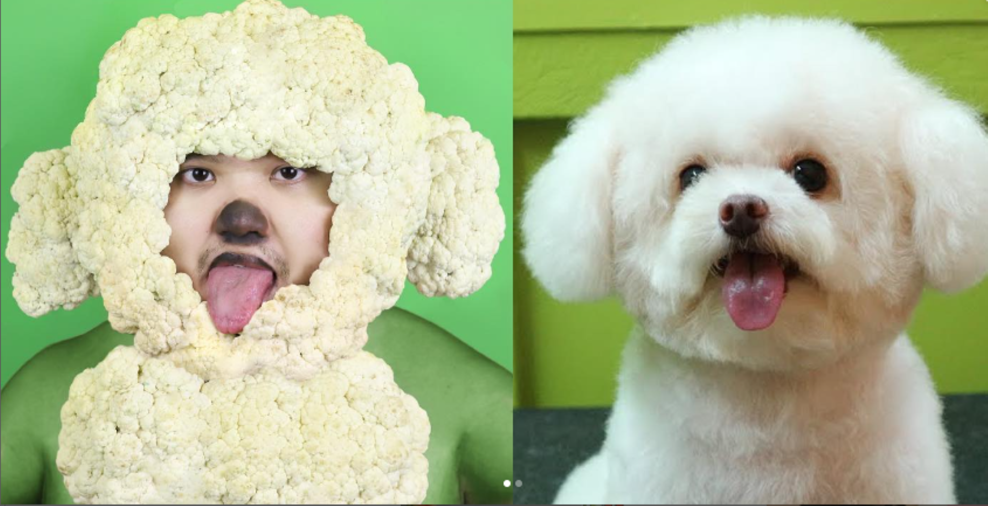 Disguises you can make at home: get ready for a surprise!