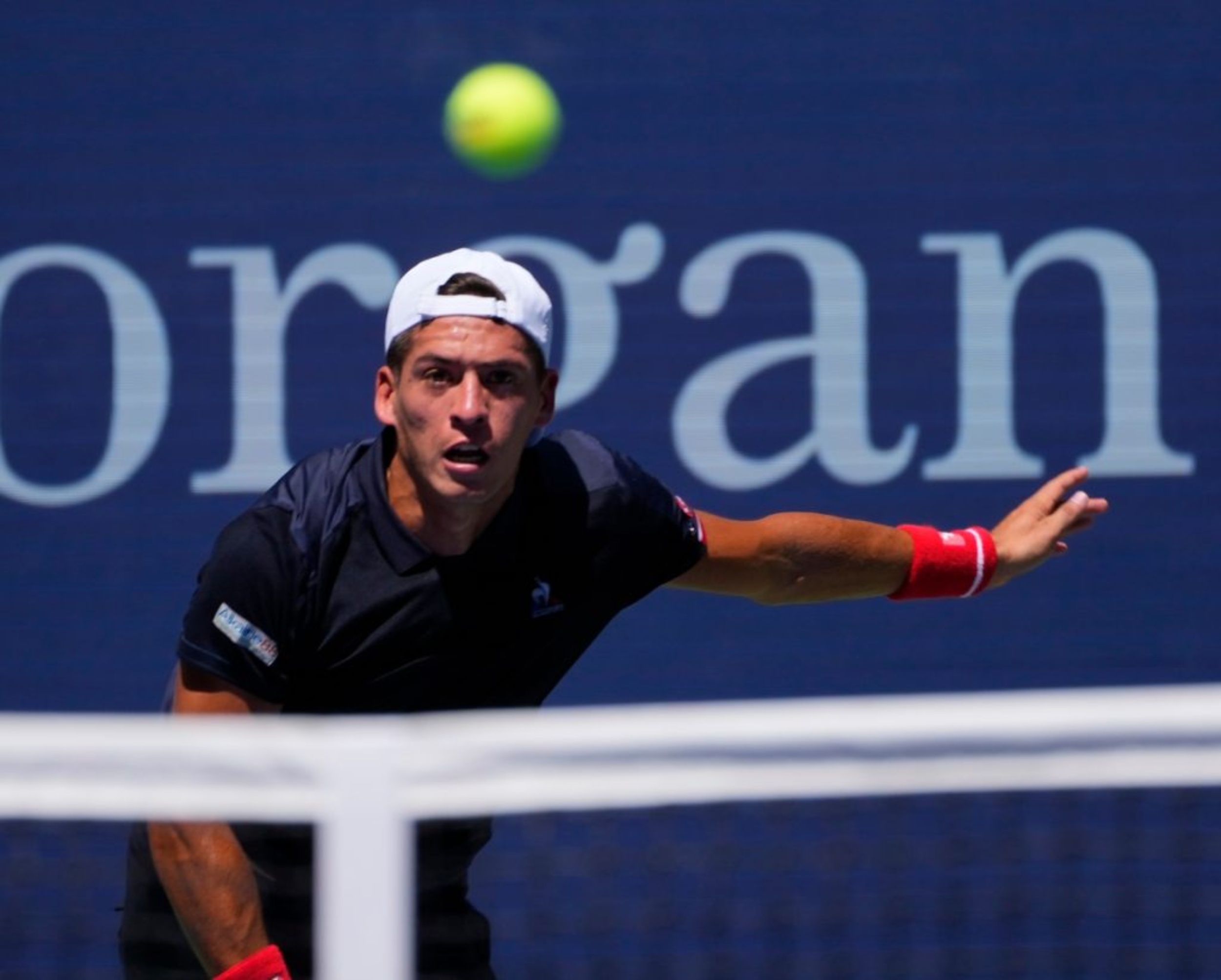 ATP Bucharest Quarterfinal Predictions Including Damir Dzumhur vs Pedro ...