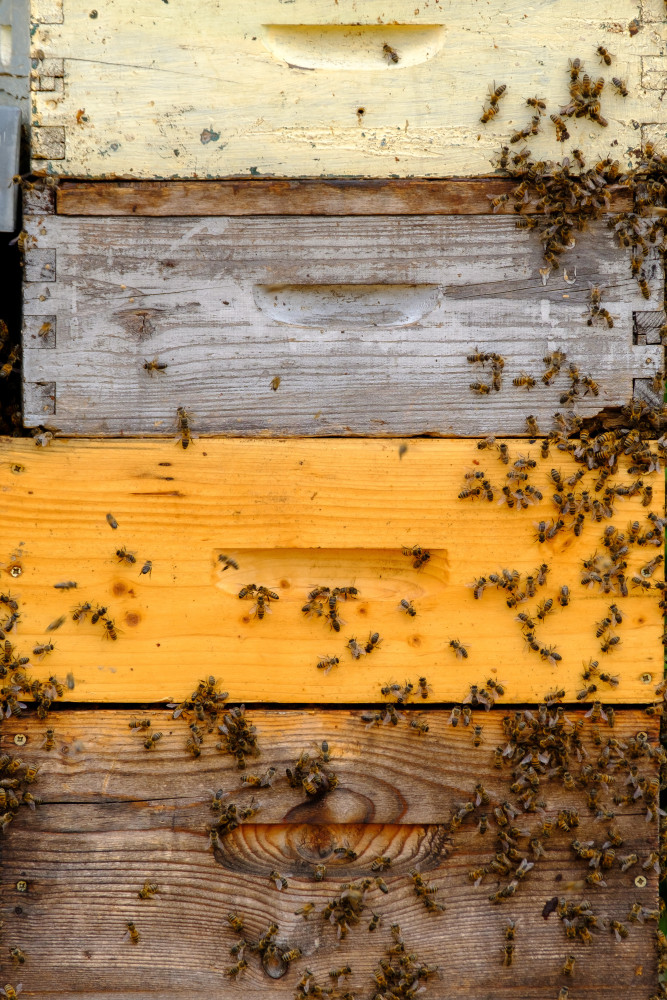 Die 20 besten Filmtrilogien aller Zeiten