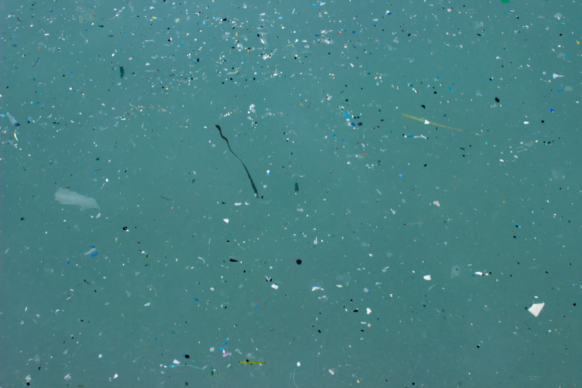 The truth about microplastics