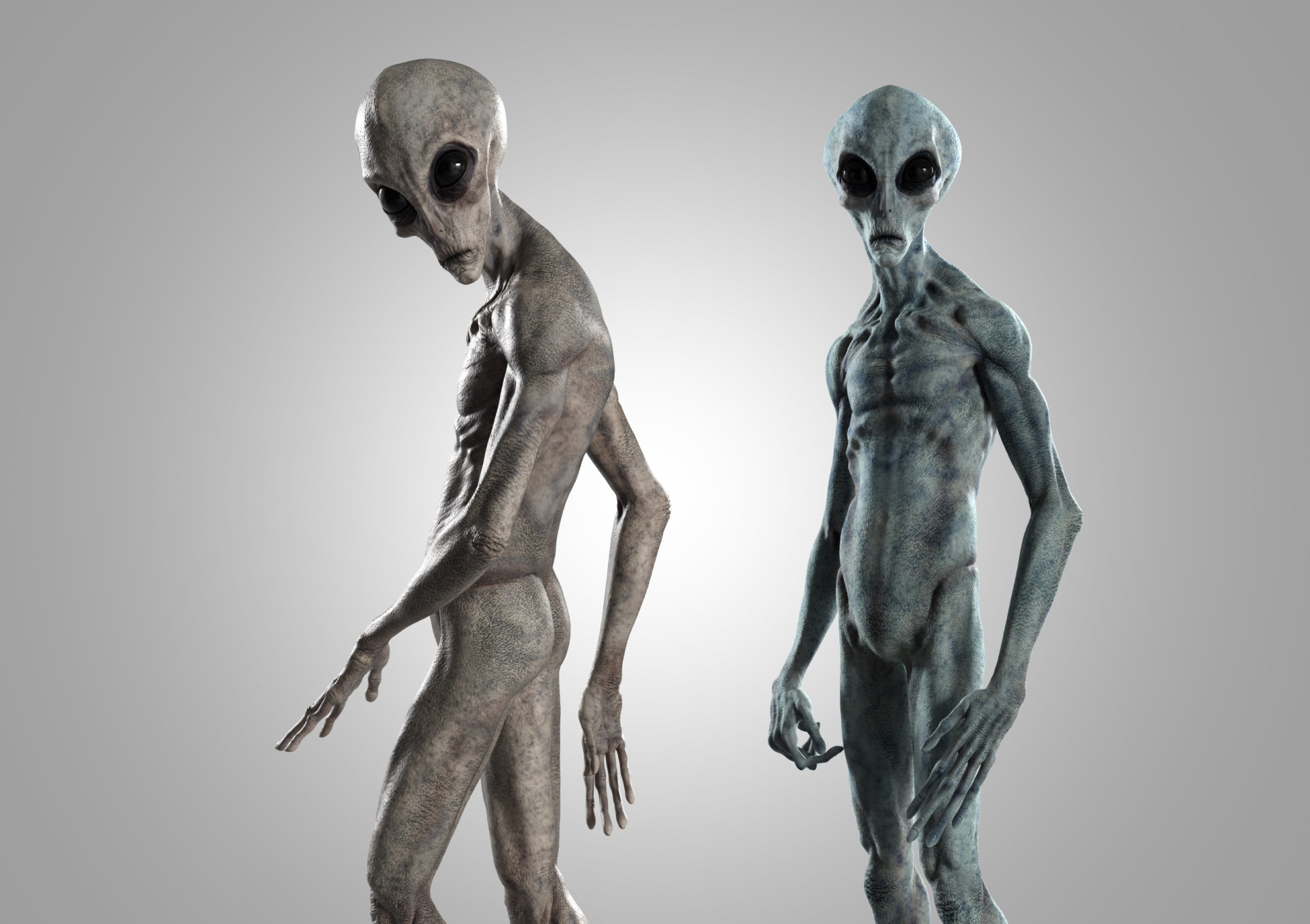 Hvad skal du gøre, hvis du ser en alien?