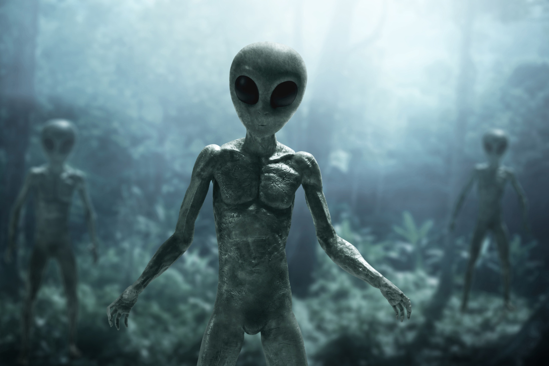 Hvad skal du gøre, hvis du ser en alien?