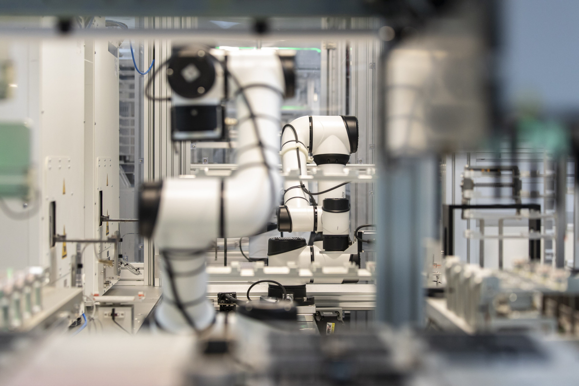 Disease X: The next pandemic?