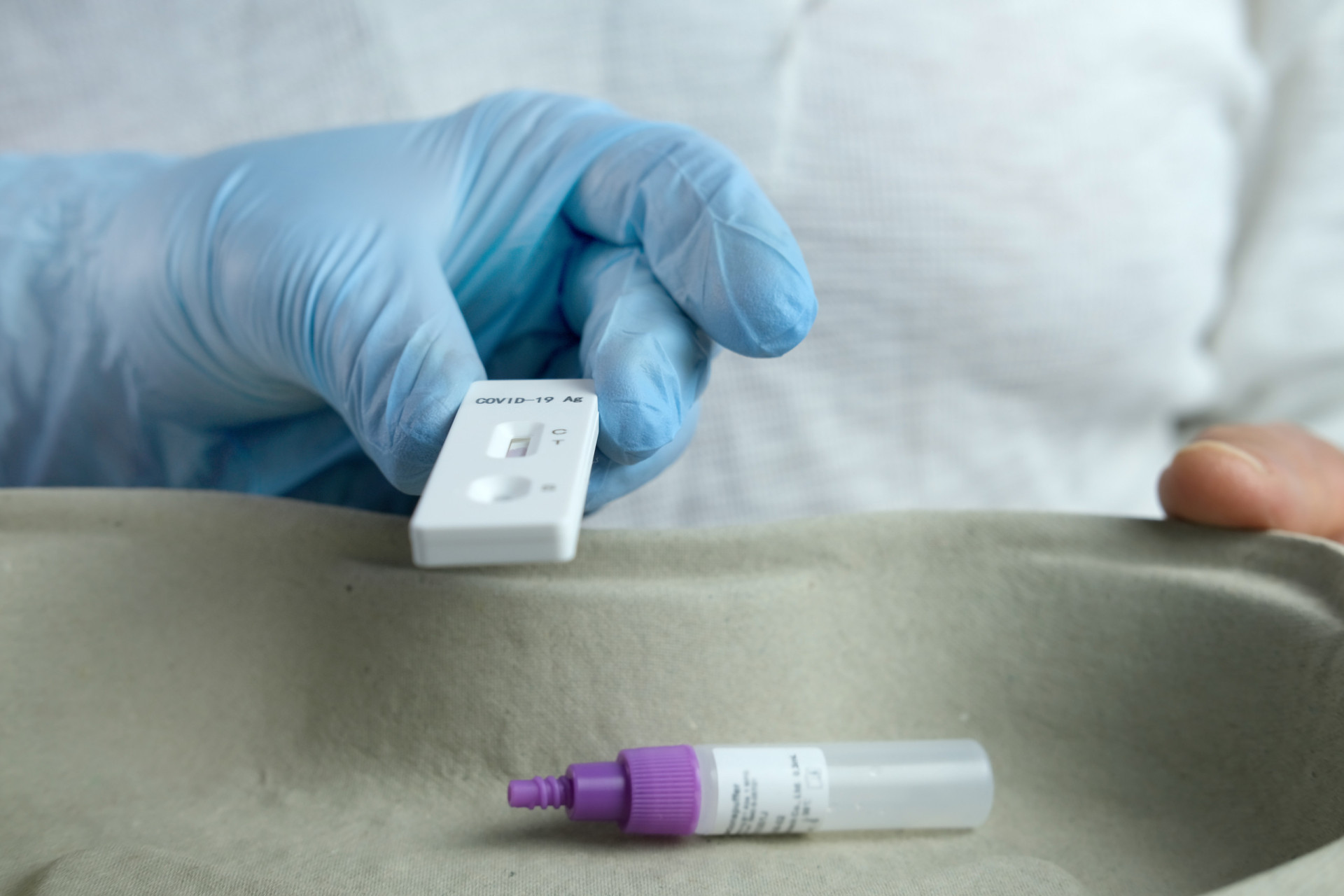 Disease X: The next pandemic?