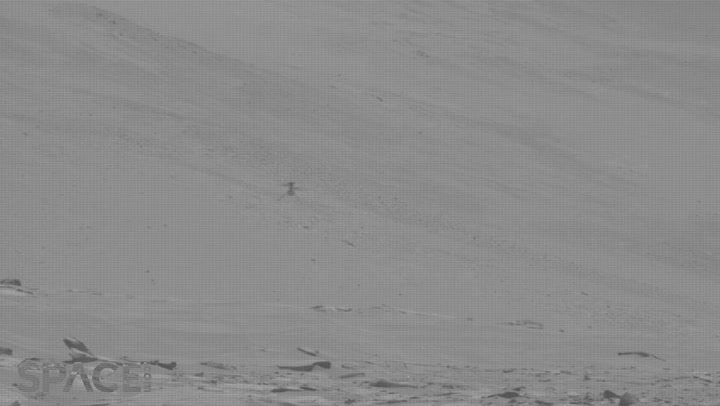 Mars Perseverance rover watches Ingenuity helicopter zoom above red ...