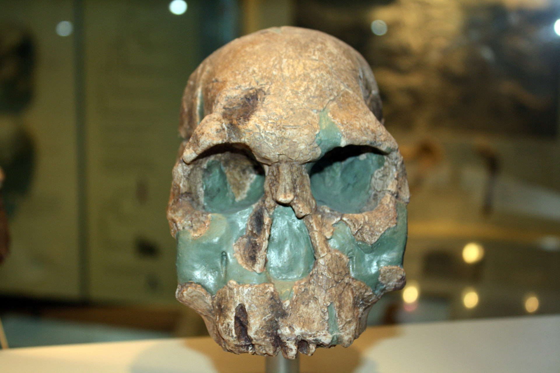 En quoi sommes-nous différents des espèces humaines précédentes