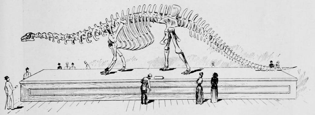 The Biggest Dinosaurs to Ever Roam America