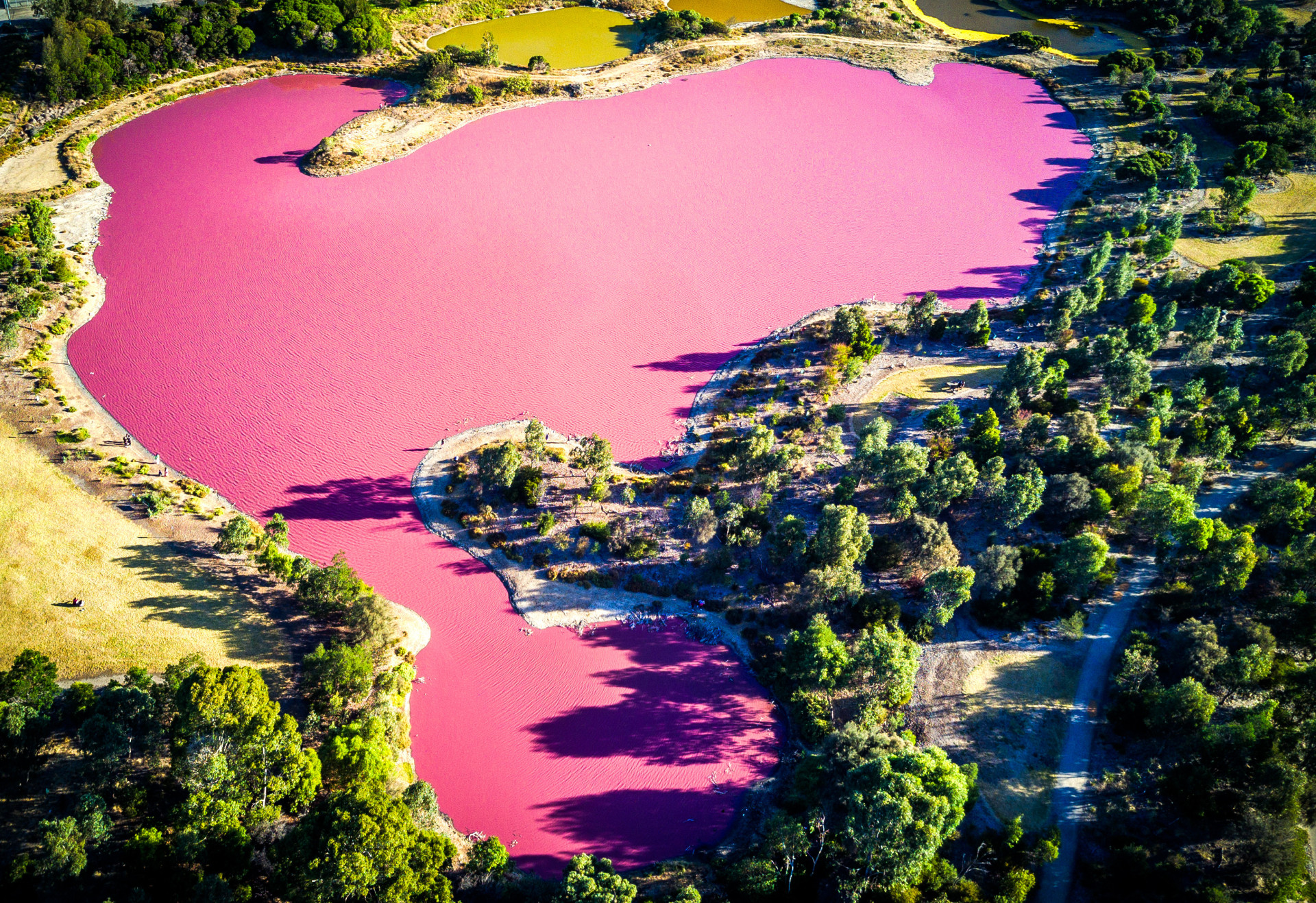 The enchanting pink lakes of Australia