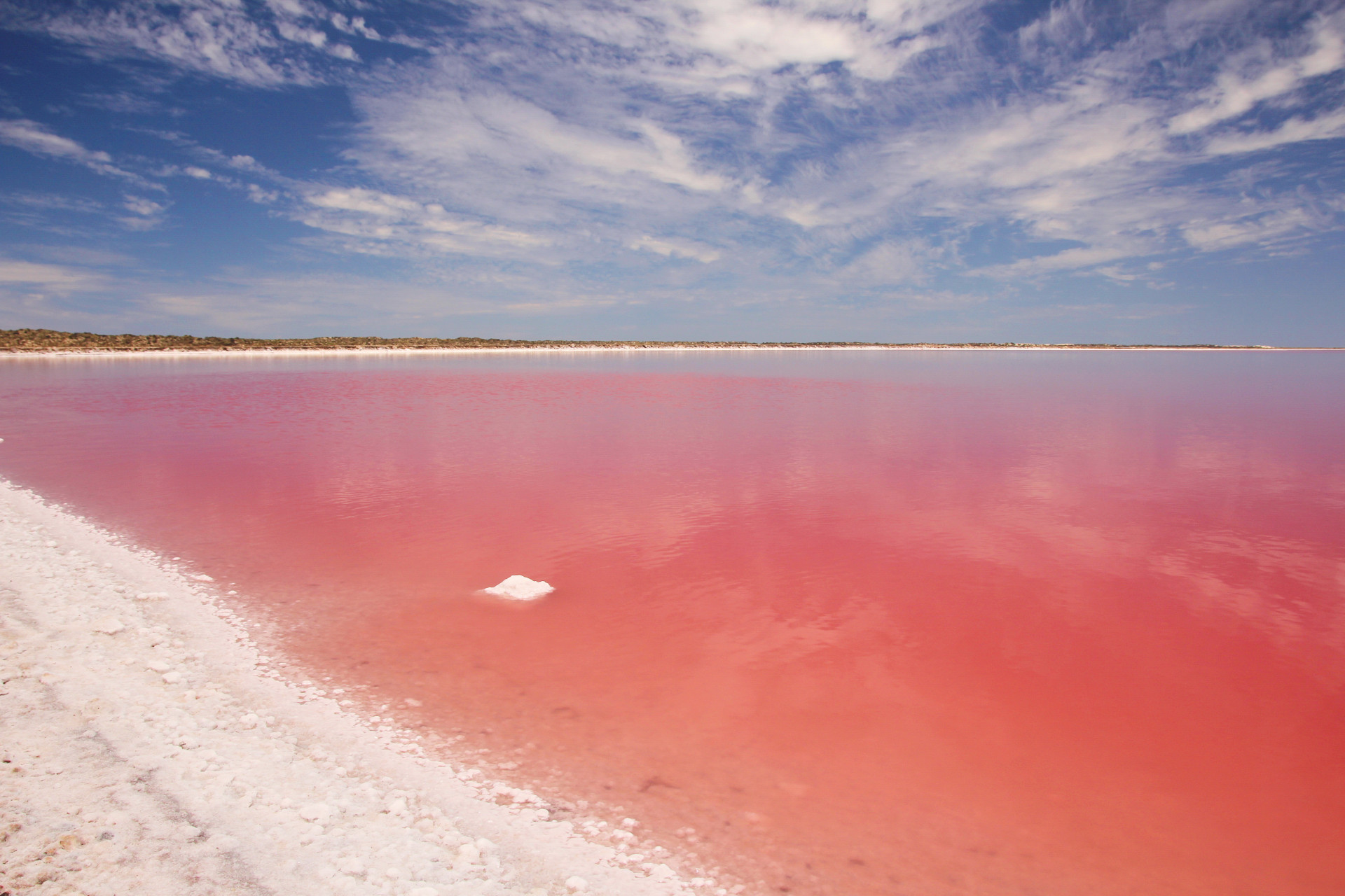 Why are Australian lakes pink?