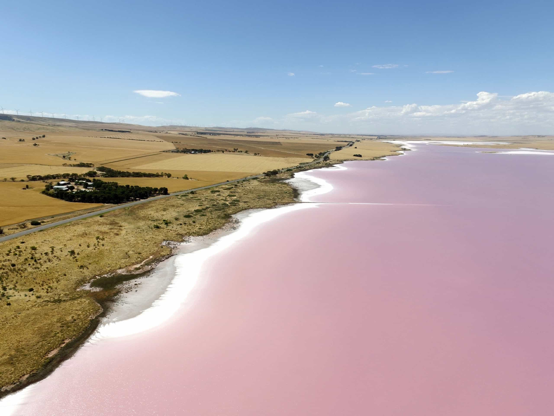 The enchanting pink lakes of Australia