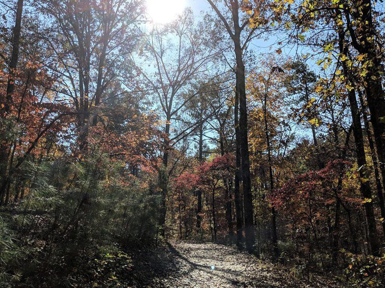 Iron Hill Loop Trail at Red Top Mountain State Park