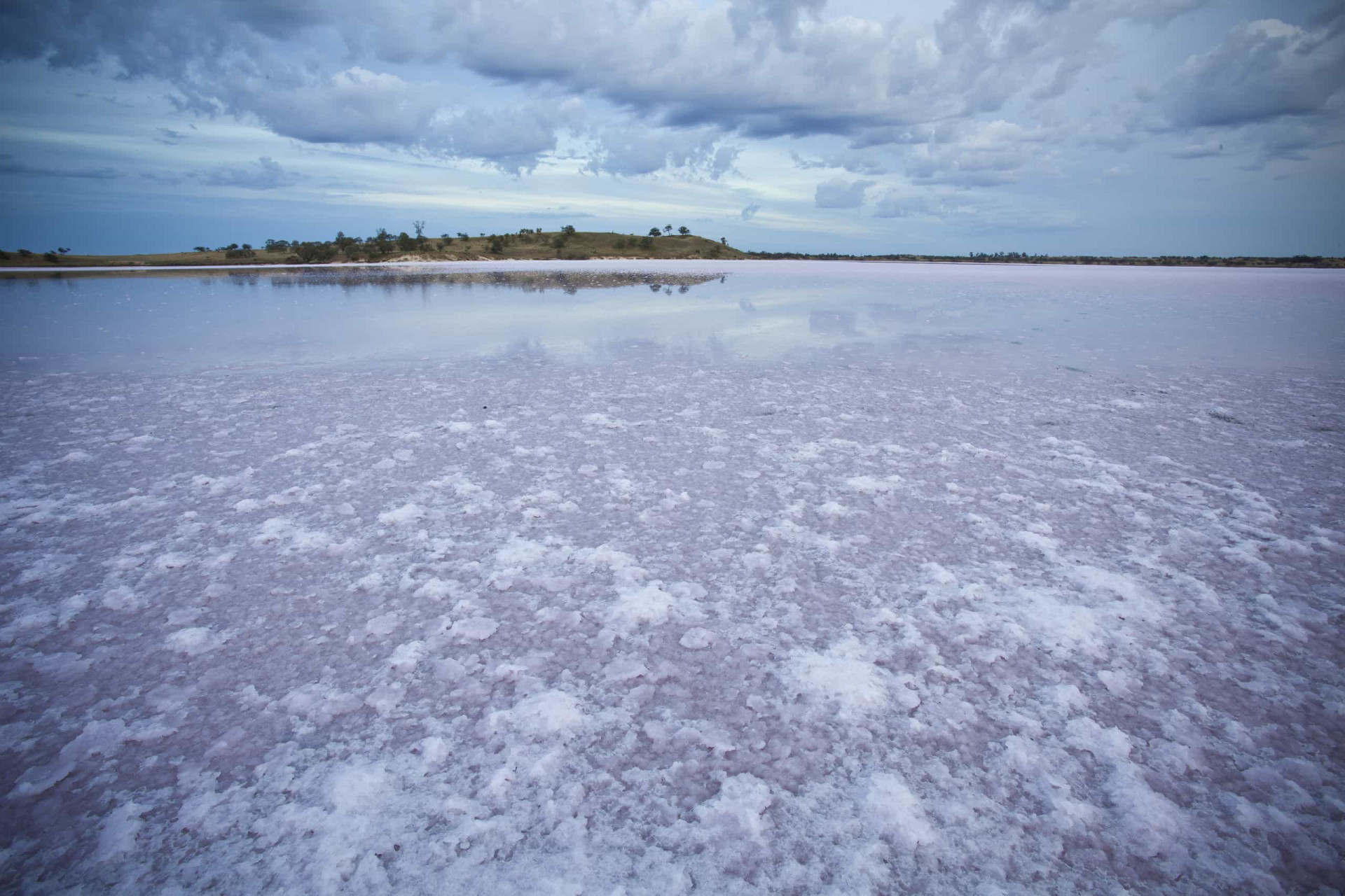 Why are Australian lakes pink?