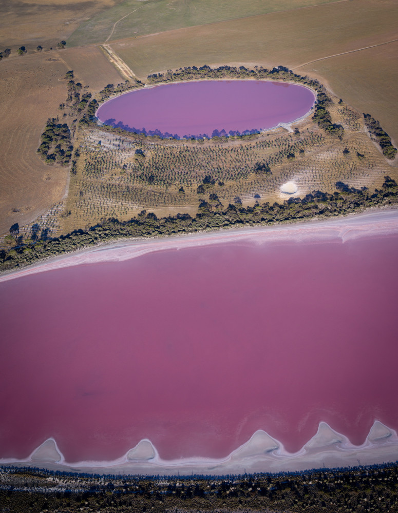 The enchanting pink lakes of Australia
