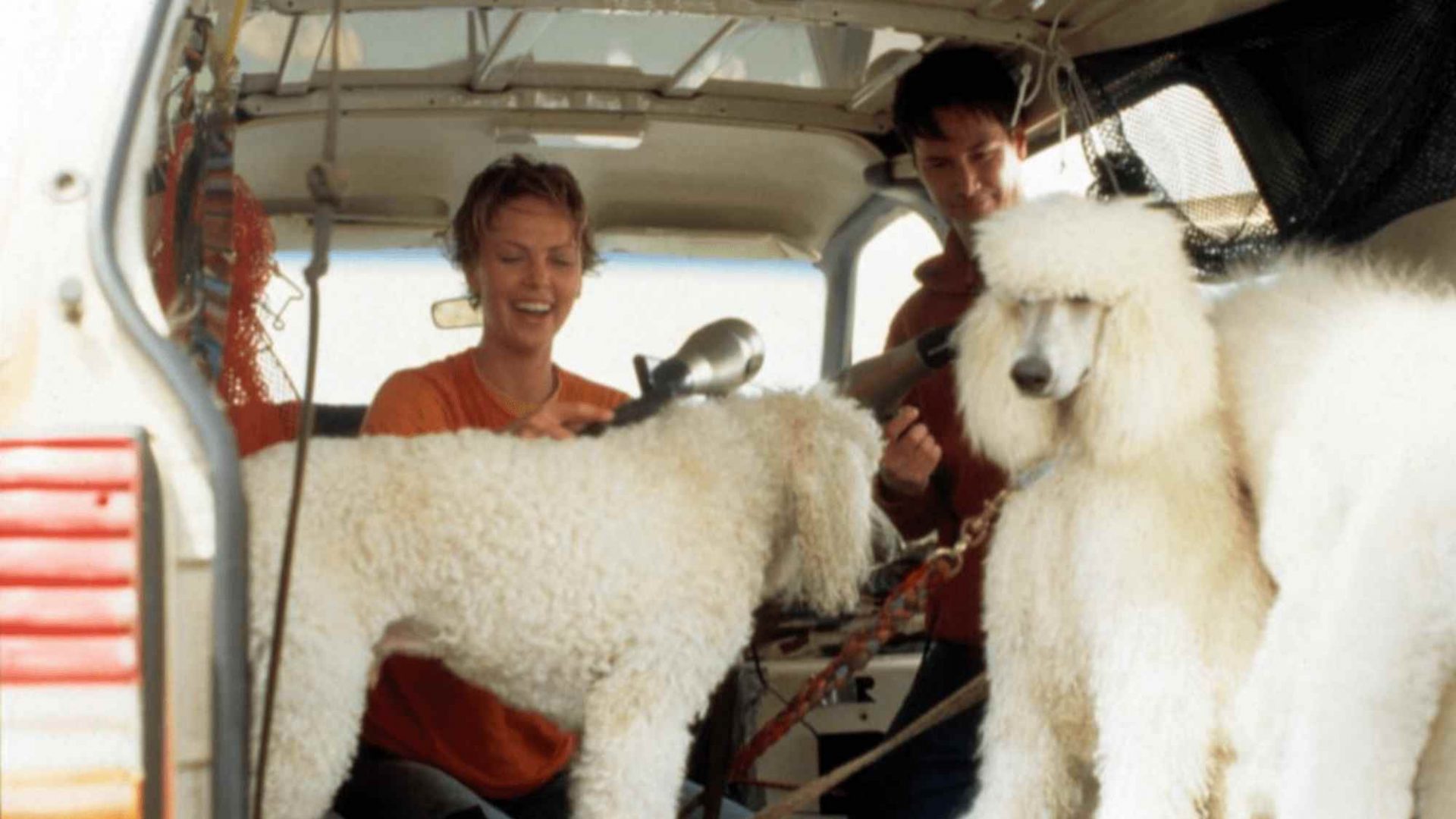 30 films classiques à revoir pour pleurer un bon coup