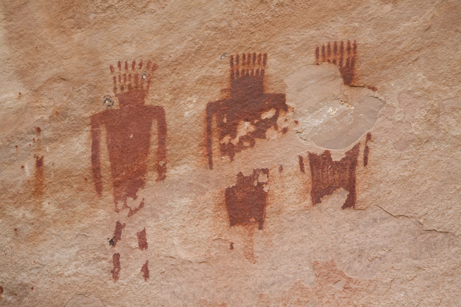 Humans almost went extinct in our prehistoric past