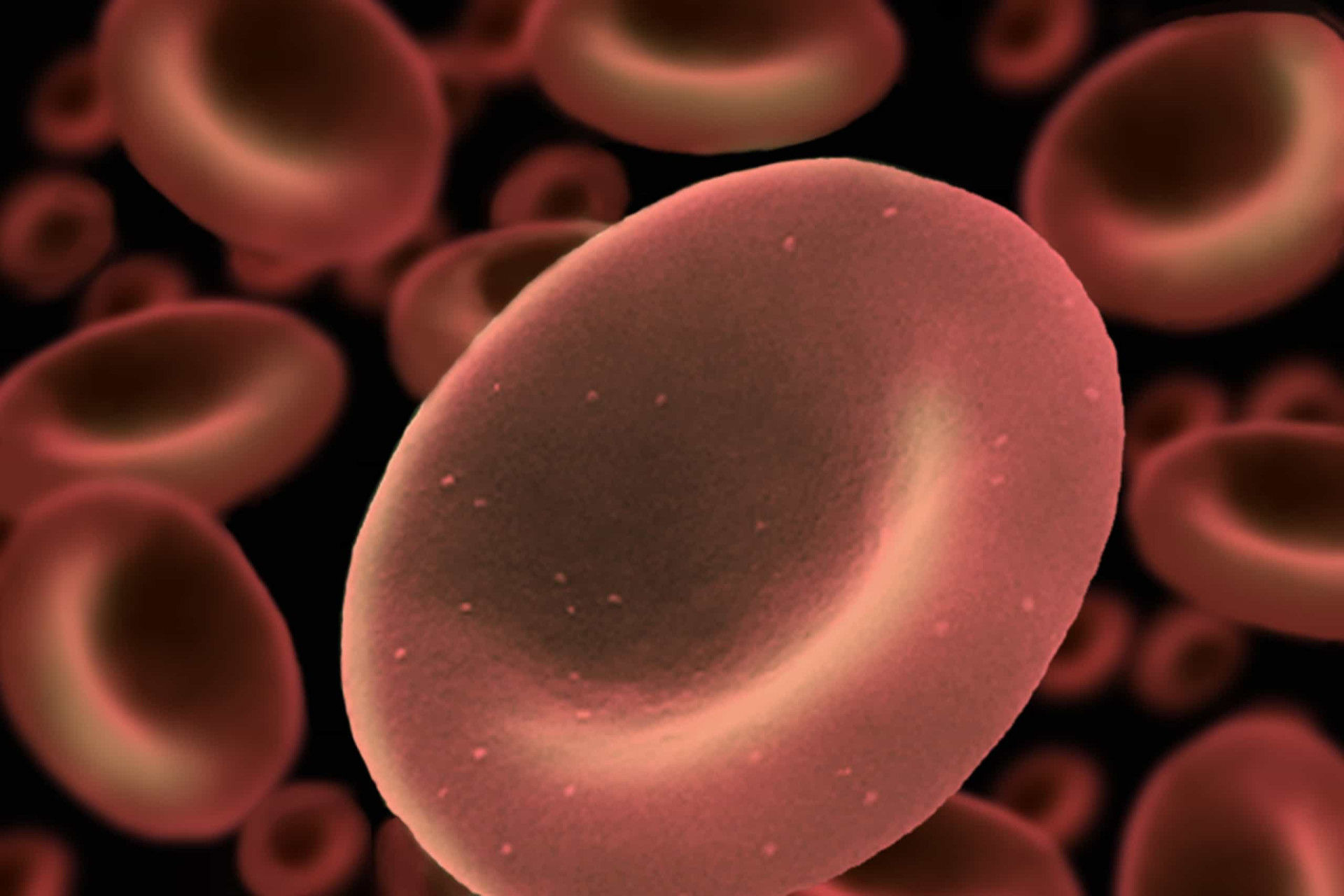 The dangers of the toxic chemicals invading our bodies every day