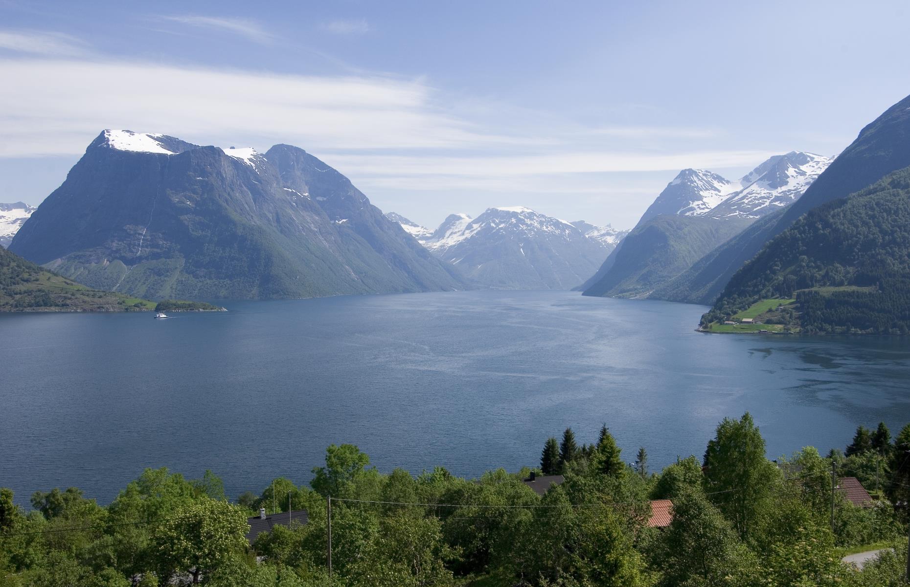 The origins of the most popular cat breeds