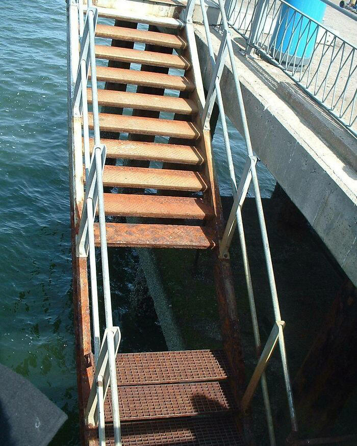 48 times “idiots at work” showed just how stupid humans can be