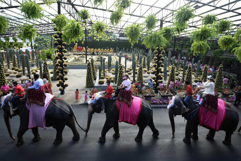 Valentines Day Traditions Around The World You Didnt Know Existed