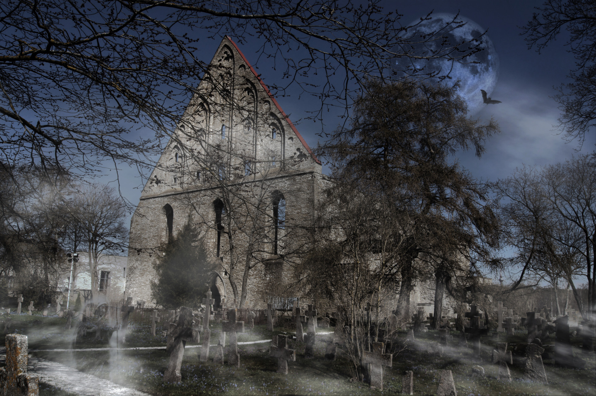 Curious facts about witchcraft that will keep you spellbound