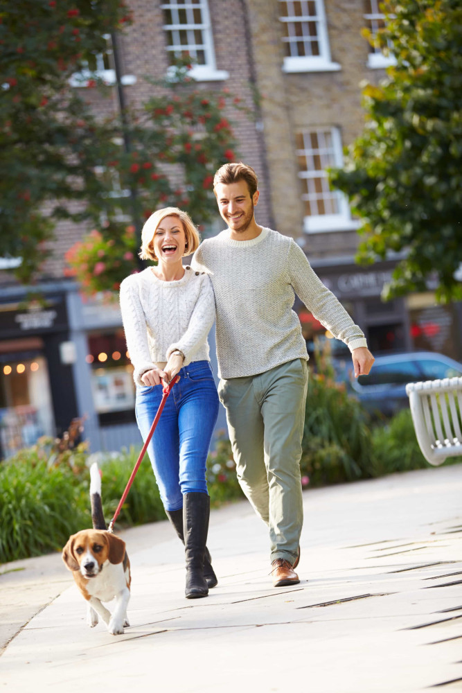 What would happen if the world stopped spinning?