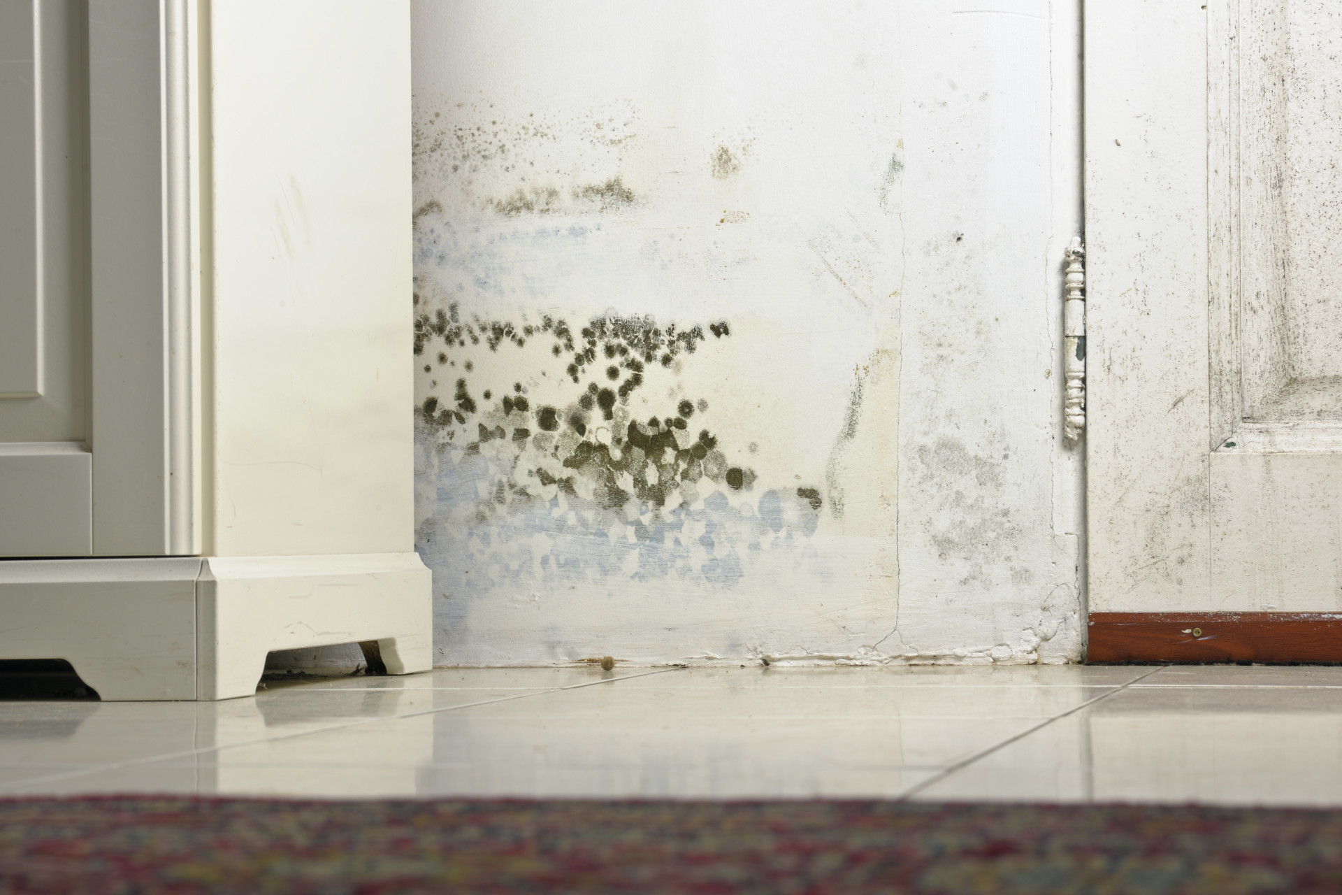 Hidden health hazards in your home
