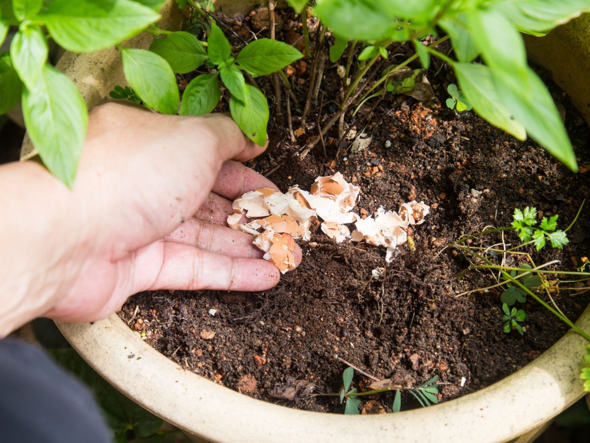 50 totally painless ways to save money every day