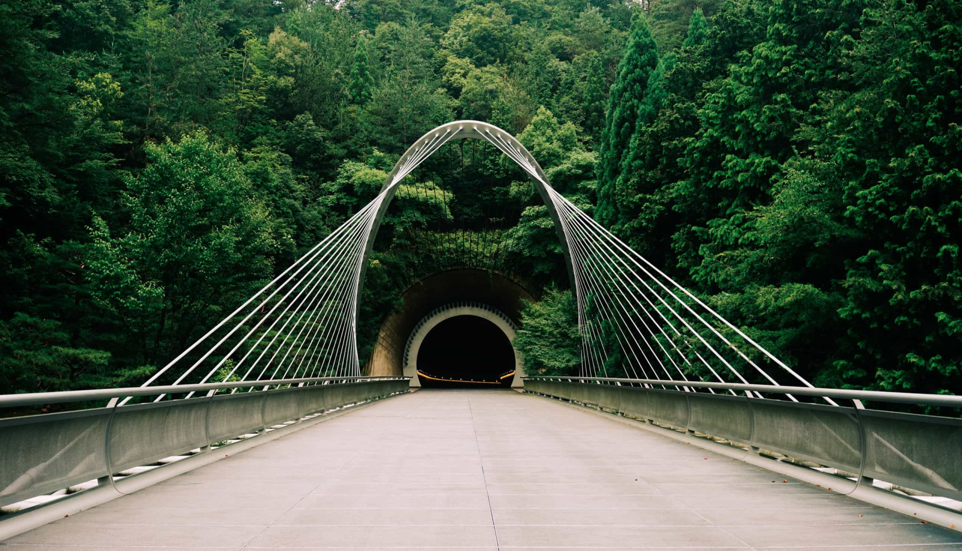 Discover the most amazing tunnels in the world