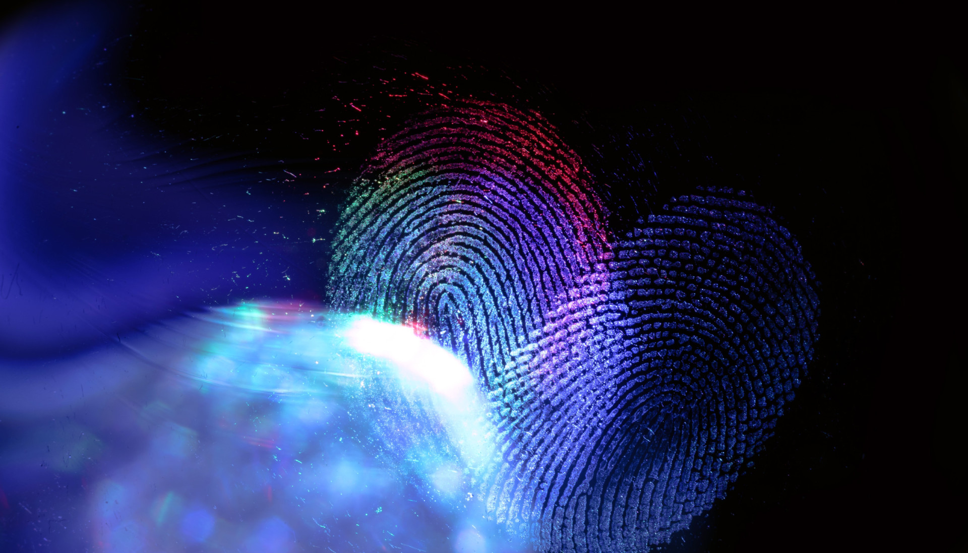Surprising facts about fingerprints, and why we even have them