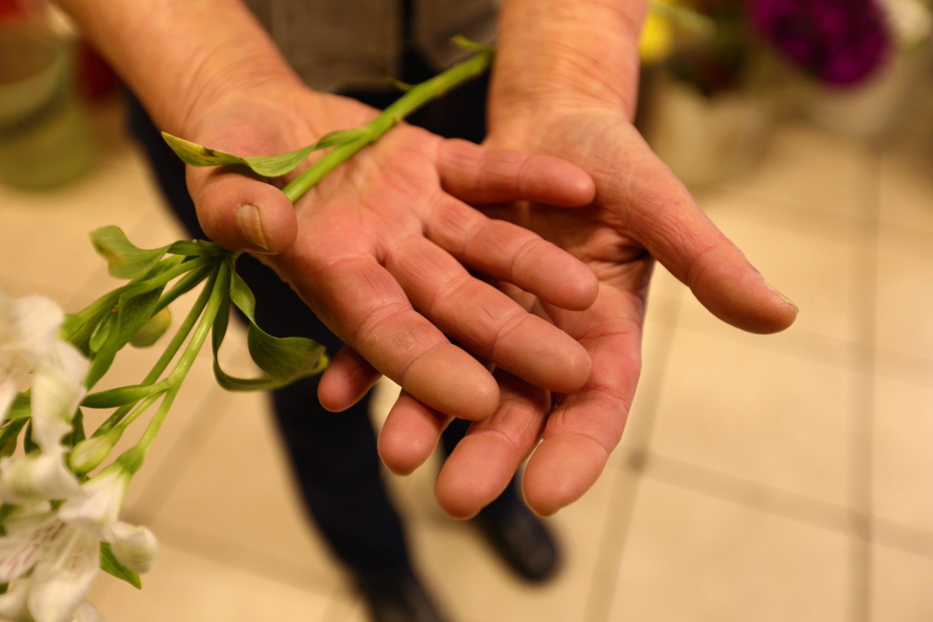 Surprising facts about fingerprints, and why we even have them