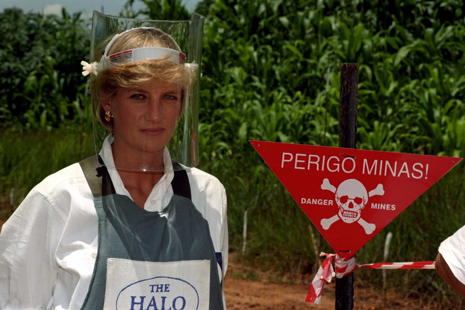 Lady Diana's life in pictures
