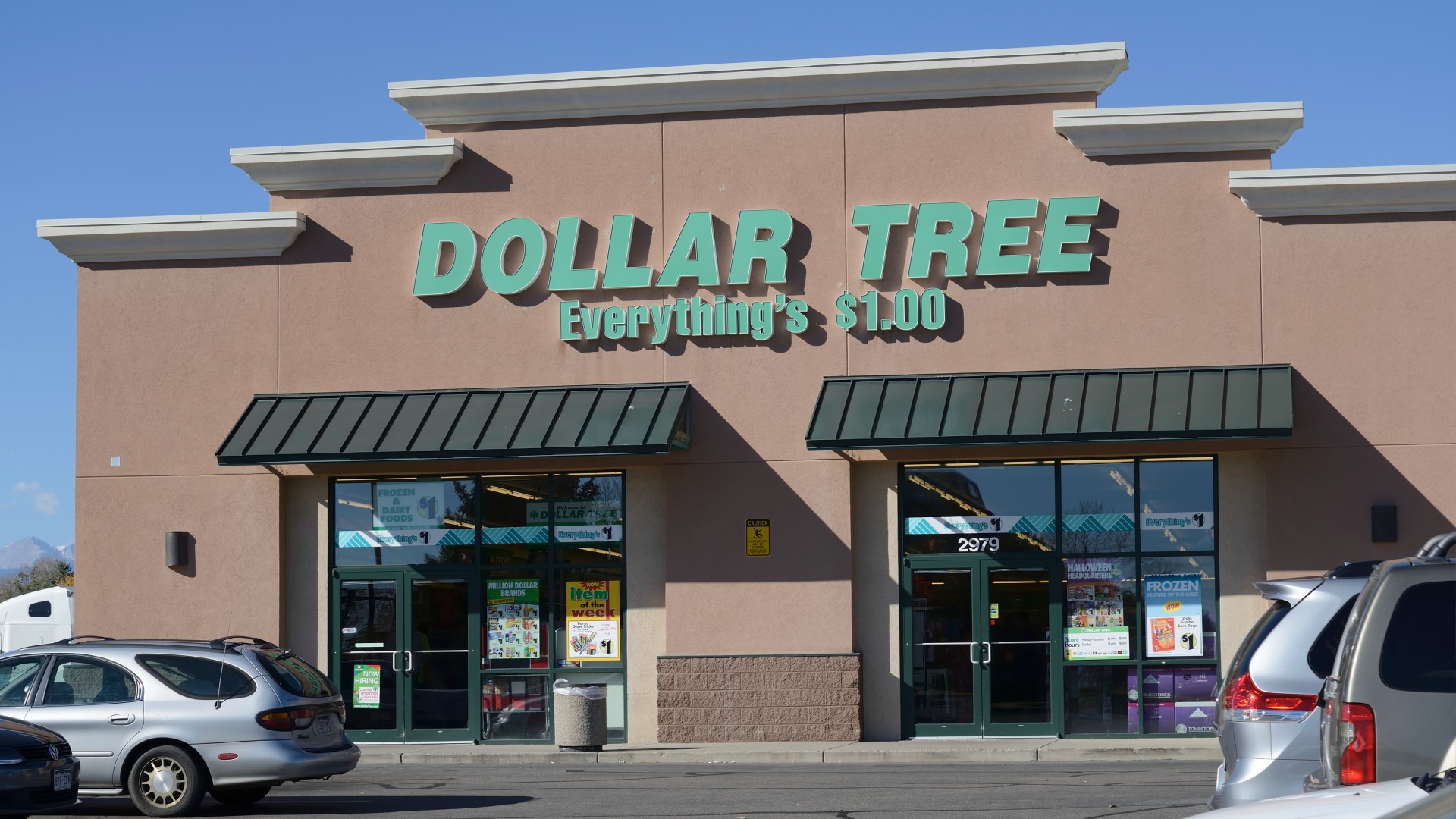 9 Best New Dollar Tree Arrivals for Your Money in January