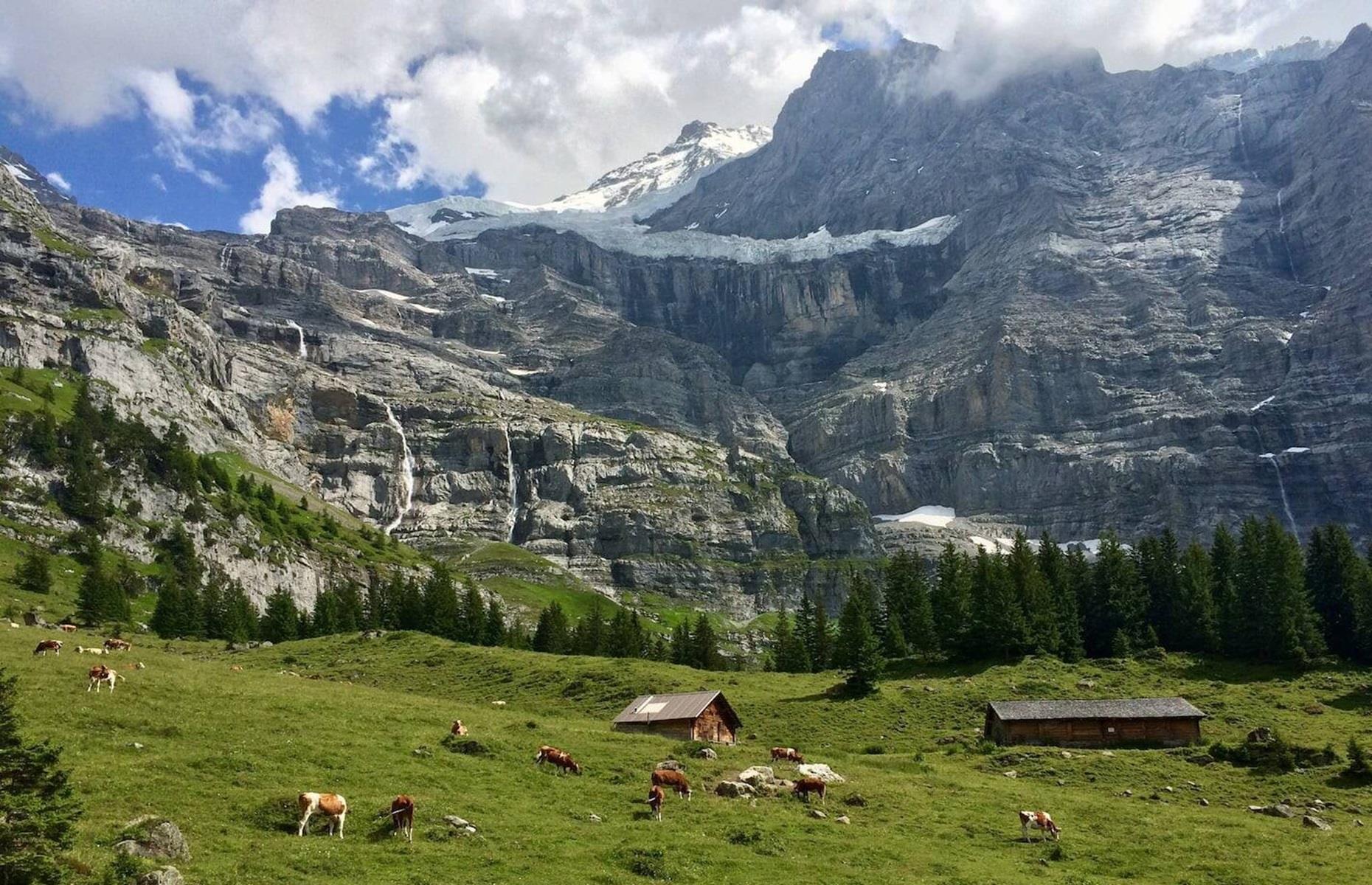 Who is Bushra Bibi, the mystical wife of Imran Khan?