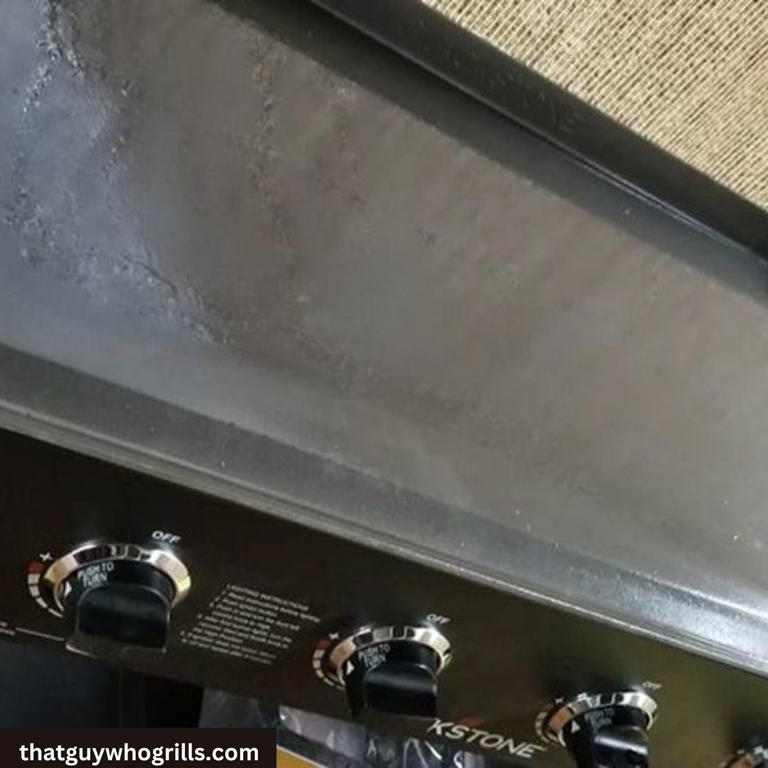 Ultimate Guide To Outdoor Griddles