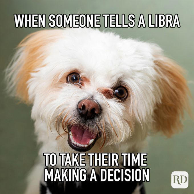 60 Hilarious Zodiac Memes That Will Crack You Up