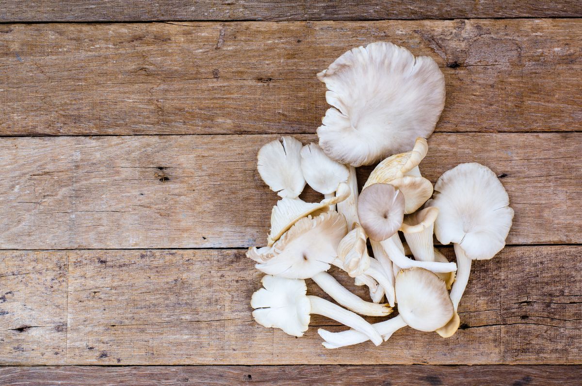 16 Common Types of Mushrooms and How to Use Them in Recipes