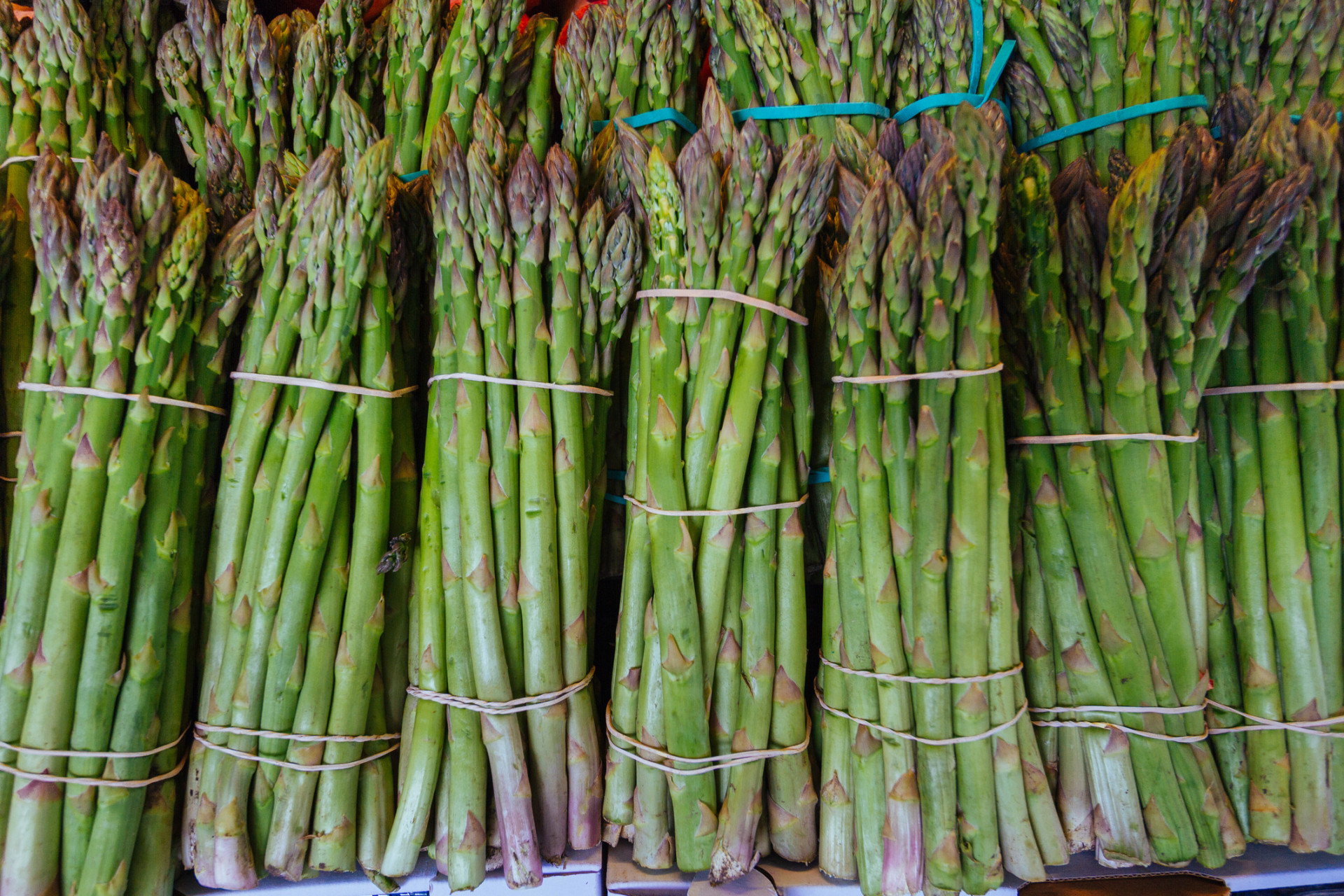 54 Easy Sunday Dinner Ideas Your Family Will Love